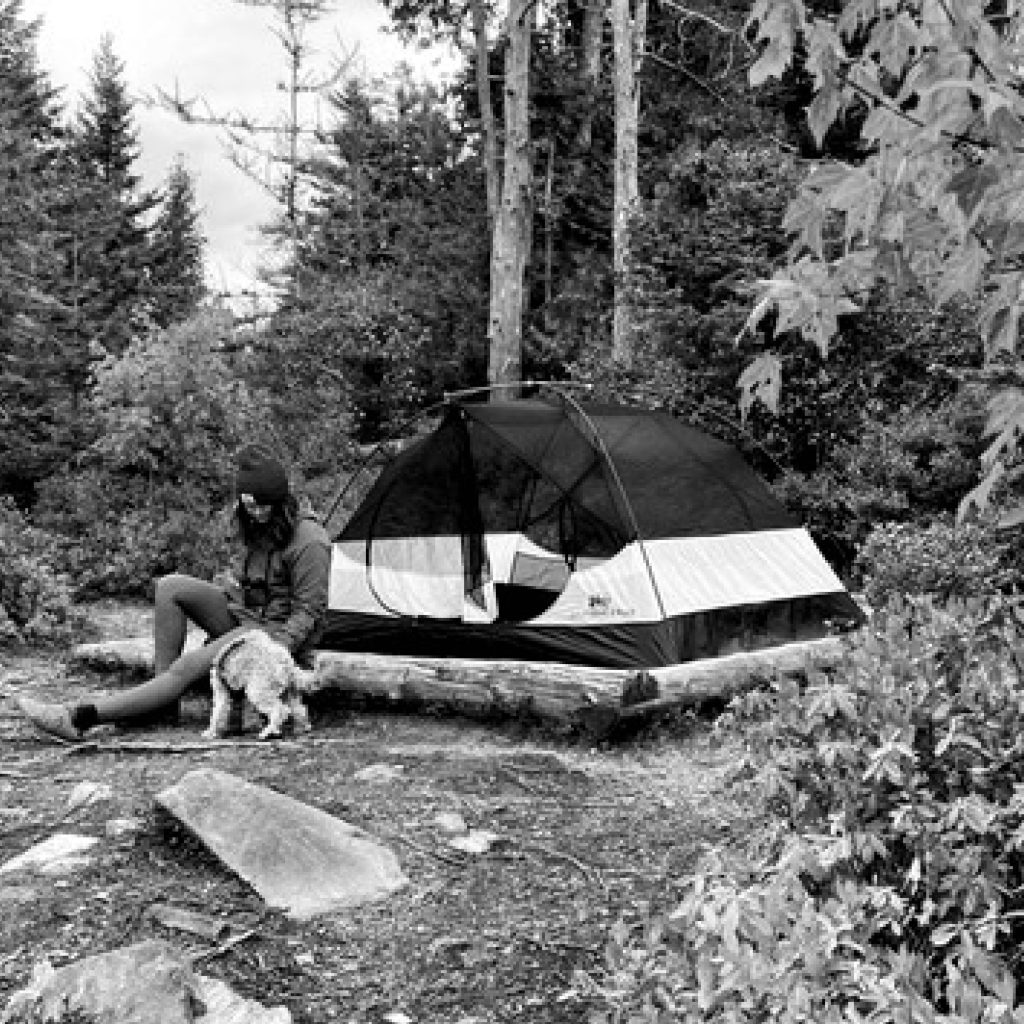 About Us - Siddall Communications